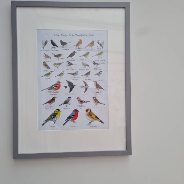 British Garden Birds Identification Chart Wildlife Poster A5 A4 A3 A2 ...