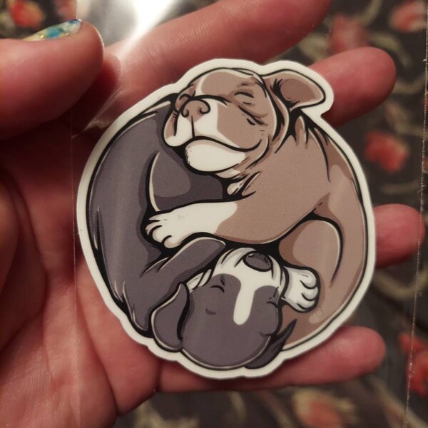 Labeled Heart Diagram Sticker Hand-drawn Anatomy Sticker Medical ...