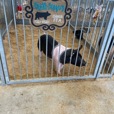 Stock Show Barn Sign, Barn Stall Sign, Fair Sign, Show Animal Sign ...