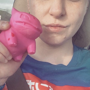 Pokemon Valentines Special Pink Bulbasaur Planter - Etsy