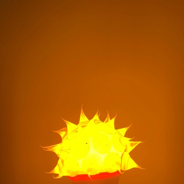 Limited Edition Ubo 3D Led. Original Hand Made Design - Etsy