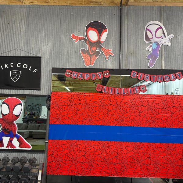 Spidey and Friends Birthday Party Cutouts, Decorations, Centerpieces ...
