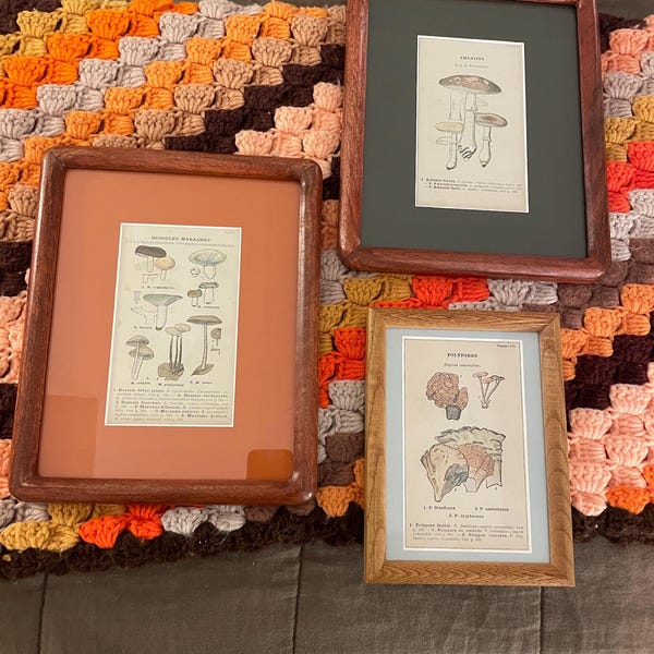 8x10 Custom Cut Single Matboard for 8x10 Frame, Picture Frame Mat ...