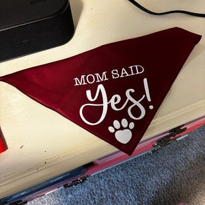 Ball-less & Flawless Dog Bandana, Funny Dog Bandana, Neuter Bandana ...