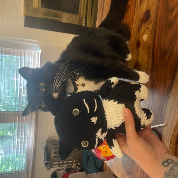 Custom Cat Plush, Custom Stuffed Cat, Cat Stuffed Animal, Custom ...