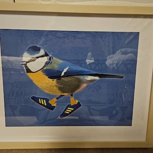Funky Pigeon Print, UK Birds, British Birds, Bird Print, Bird ...