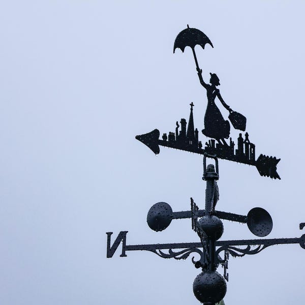 Rustic Tree Design Single Pane Fire Guard/ Tree of Life/ Traditional ...