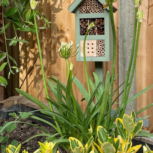 Handmade Staked Bug Box - Etsy UK