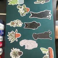 Paint Horse Sticker Blue Eyes Original Illustration Horses Pony Cute ...