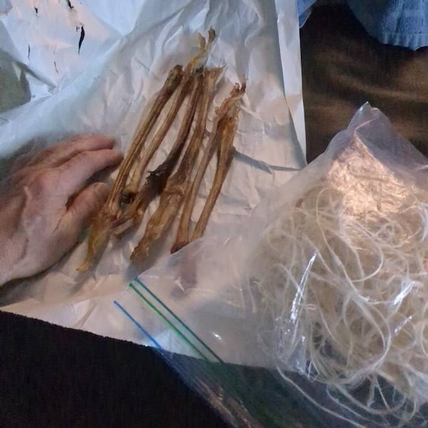 10 Authentic Deer Leg Tendon Dog Chews Sinew - Etsy