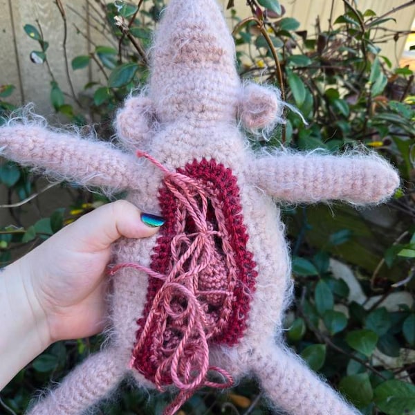 Digital Download Rat Dissection Crochet Pattern - Etsy