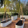 Hardwood Trellis - A Frame, 4ft and 6ft Plant Playground, Fun for ...