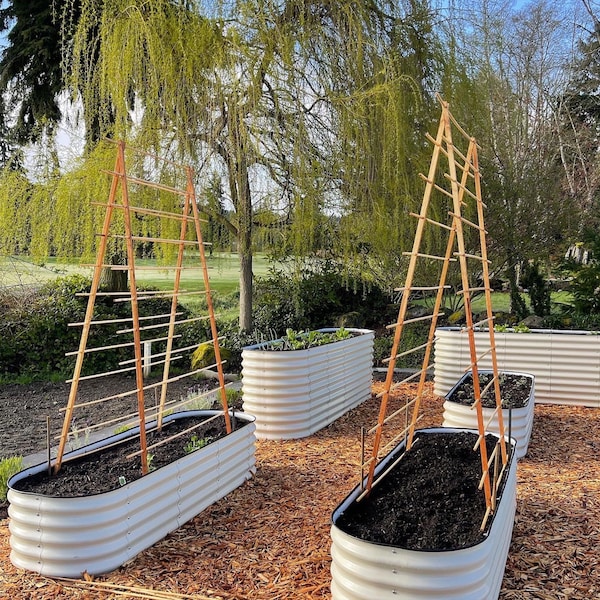 Hardwood Trellis - A Frame, 4ft and 6ft Plant Playground, Fun for ...