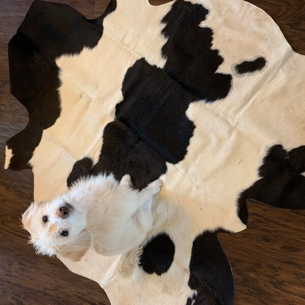 Genuine Tricolor Hair on Cowhide Rug, Speckled Brazilian Cow Hide Rug ...