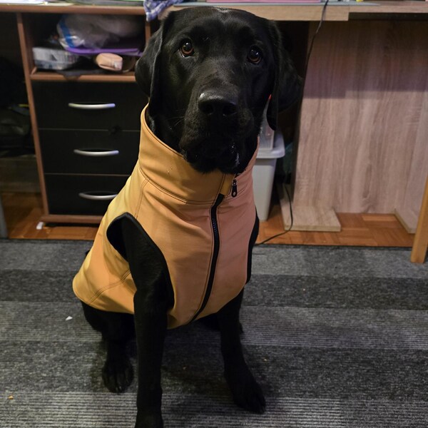 Dog Coat Pattern, Dog Vest Sewing Pattern, Sewing Pattern Pet, Pattern ...