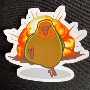 Budgie Meme Stickers - Etsy