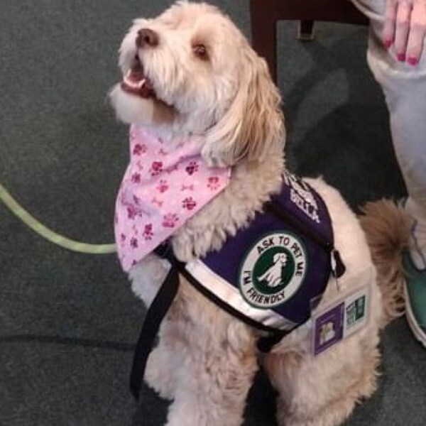 Roll the Dice | Instant Download | Gross Motor Movement & Regulatory ...