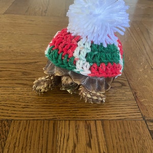 Alien in Spaceship Costume for Turtle/tortoises - Etsy