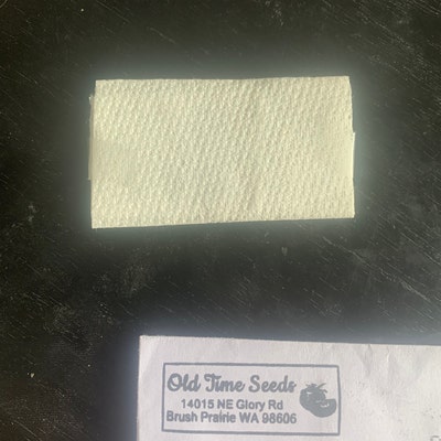 Salal Berry / Gaultheria Shallon 30 Seeds - Etsy