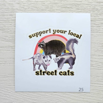 Hot Girls Have IBS Bumper Sticker Gen Z Funny Pink Cute Car - Etsy