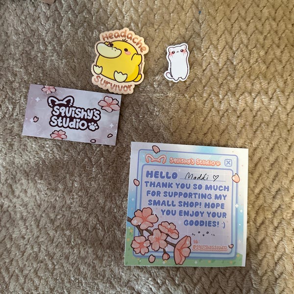 Please Handle With Love FRAGILE Sticker | Cat Meme Stickers | Kawaii ...