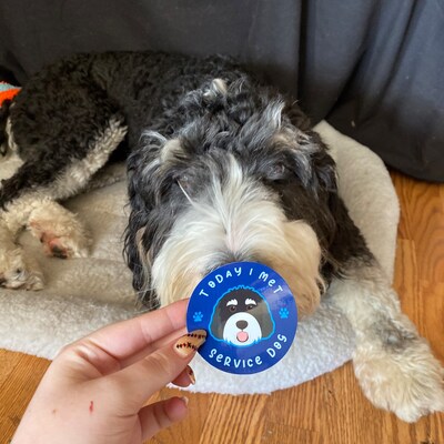 Stickers Assistance Animals Save Lives Personalize I Met an Assistance ...