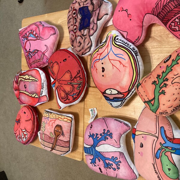 PANCREAS Plushy/ Pancreas Plush Toy/ Anatomy Pancreas Plush Pillow ...