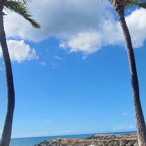 Leather Slim 3D Eye Patch. Snake Skin. Suitable for Permanent Use and ...