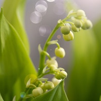 Copper Teal, Digital Paper, Scrapbook, Metallic Pattern, Teal, Metal ...