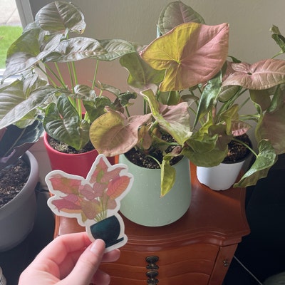 Puns Vinyl Sticker - Etsy