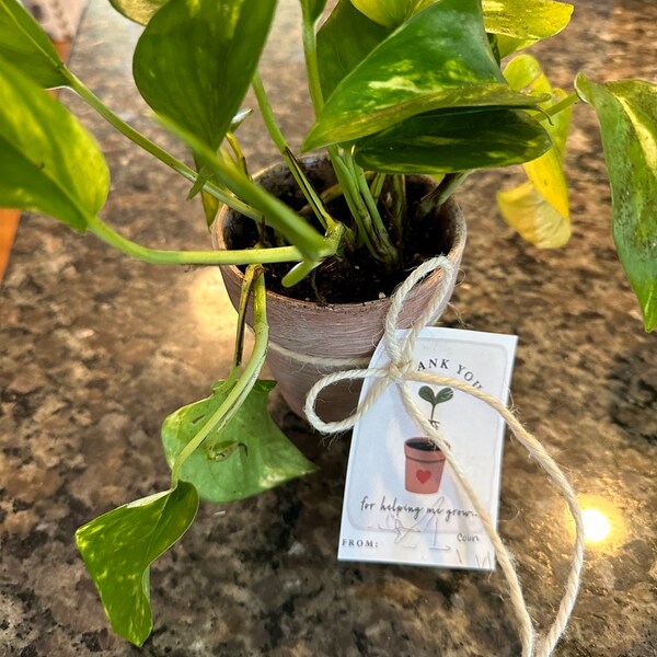 Thank You for Helping Me Grow Tag: Sprout Gift Tag (digital Download ...