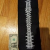 Spine Back Patch - Etsy
