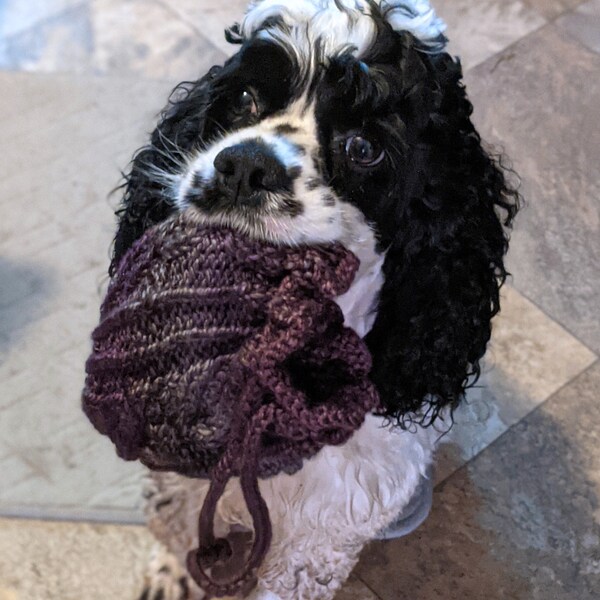 Invader Zim Cast Sticker Zim, Dib, Gir, Gaz, Tallests, Skoodge, Tak ...