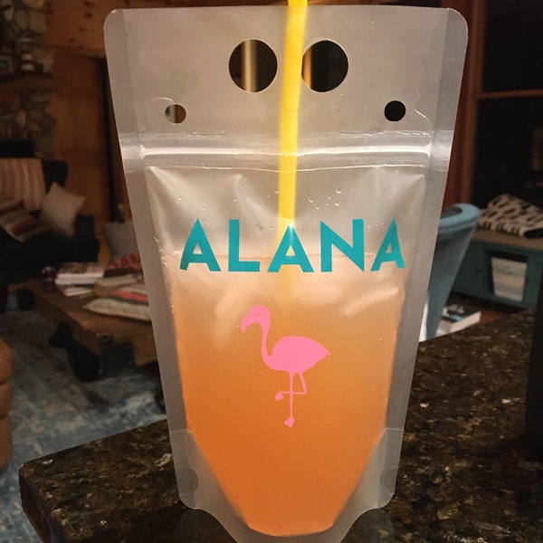 CUSTOM DRINK POUCHES Party Pouches Booze Bags Drink Bags Reusable ...