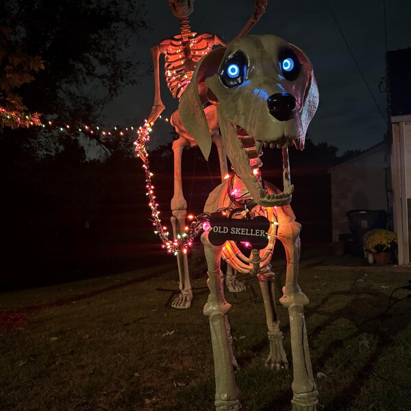 3D Printed - Personalized Oversized Skeleton Dog Tag for 7 Foot Dog ...