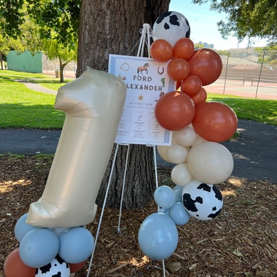Cowboy Balloon Garland, Howdy, First Rodeo Balloon, Wild West, Western ...