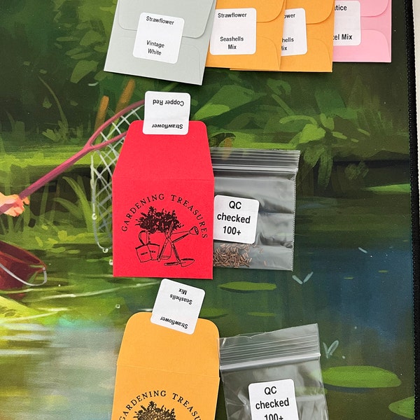 100+ Strawflower Seashells Mix Seeds - Etsy