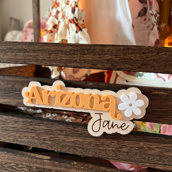 Silly Goose Cake Topper First Birthday Cake Topper Second Birthday ...