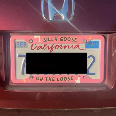 Silly Goose on the Loose Pastel Blue License Plate Frame - Etsy