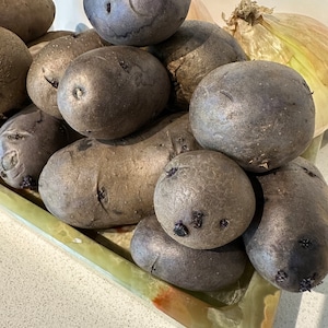 RODERIQUE FRENCH SHALLOT Sets Non-gmo Bulbs, Garden Seed Shallots Long ...