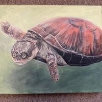 Handmade Polymer Clay Green Small Tiny Toad Figurine Personalized Gift ...