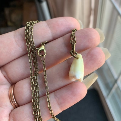 Tooth Fairy Series: One Real Human Tooth Pendant Necklace - Etsy UK