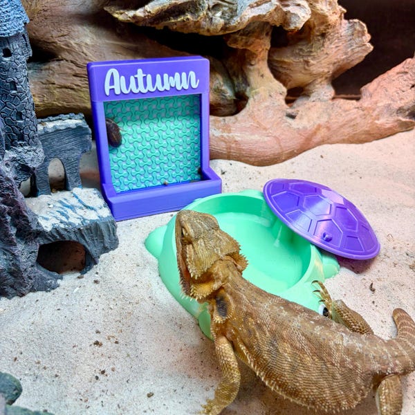 Reptile Bug Feeder Pastel Colors With Custom Name Bearded Dragon Food ...