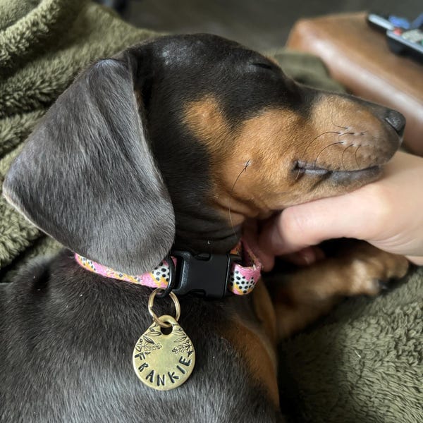 Chipped Oblong 3/8 X 1 1/2" Dog ID Tag, Metal Hand Stamped Custom Dog ...