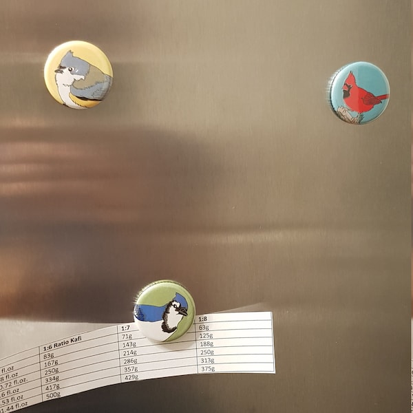 Bird Magnet Gift Set | Choose From 17 Themes | Nature Audubon Birder ...