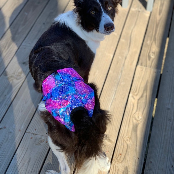 Dog Drying Coat, Grooming Coat, Lycra, Washable, Comfortable, Custom ...