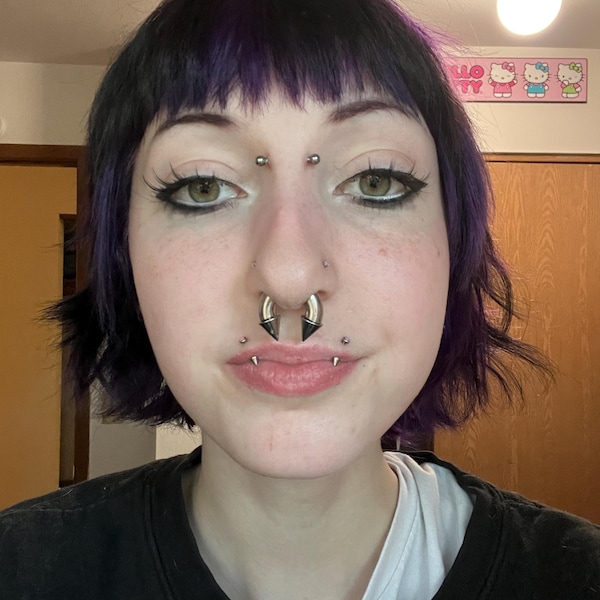 Half DARK PURPLE / SILVER (4G, 5G, 6G, 7G, 8G, 10G, or 12G) Anodized ...