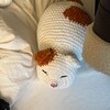 Crochet Cat Pattern: Marshmallow Kittie | Amigurumi Cat Pattern | Instant Download Pattern ...