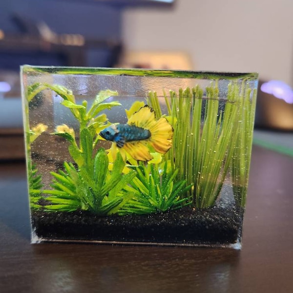 Miniature Clay Axolotl Smiling in the Tank - Etsy