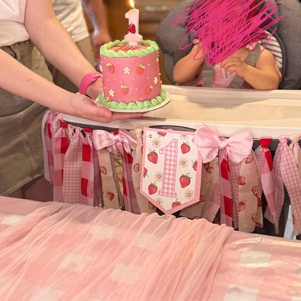 Pink Red Strawberry Daisy Picnic Birthday High Chair Fabric Banner, Can ...